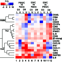 Comparative Heatmap Depiction of Differential Gene Expression using RT ...