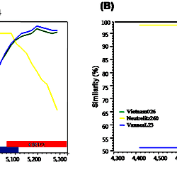 (A) SimPlot analysis of the partial RdRp and capsid gene sequences of ...