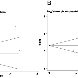 Funnel plot of all the included studies.