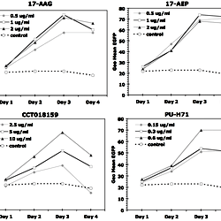 Kinetics of Melan-A/MART-1 increase.
