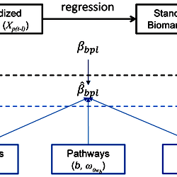 Conceptual framework of the hierarchical modeling approach.