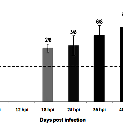 Quantification of viral RNA in blood samples of H7N1 inoculated ...
