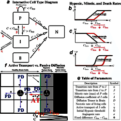 Illustrative cartoons and description of the parameters.