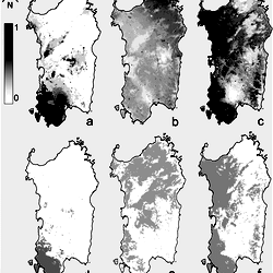 Maxent Species Distribution Models (SDM).