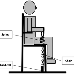 Schematic illustration of the experimental setup.