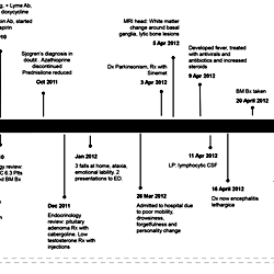 Timeline of the patient's clinical course.