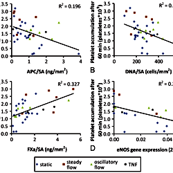 Single factor model regressions.