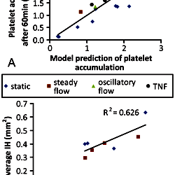 Multifactor linear regression model.