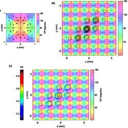OD-OP feature preference map as a function of position (x,y) in V1.