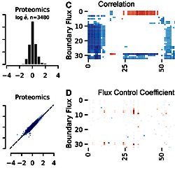 Parameterizing a genome-scale kinetic model with multiomics data.