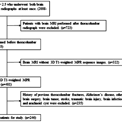 Flow chart for selecting patients who underwent both brain MRI and ...