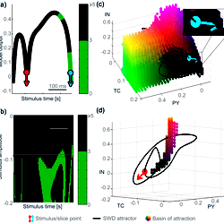 Single pulse stimulation in a deterministic SWD system.