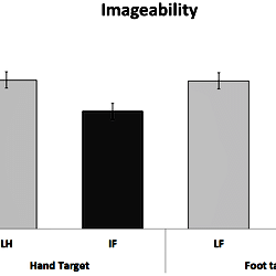 Imageability questionnaire.