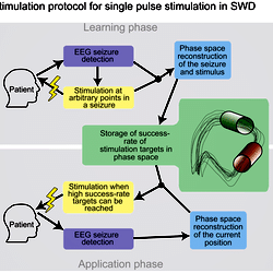 Schematic of a suggested single pulse stimulation protocol.