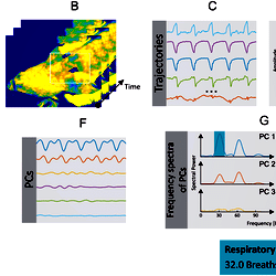 Schematic overview of the RR algorithm.