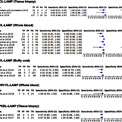 Reported LAMP diagnostic accuracy by study and test with forest plots.
