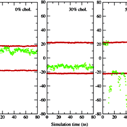 Z-axis position of MEL.
