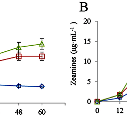 Effect of over-expression of zmsK on zeamines production.