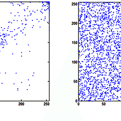 The visual testing of correlation of diagonally adjacent pixels: (a ...