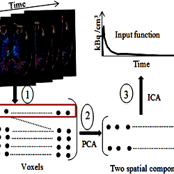 Illustration of the ICA algorithm process steps.