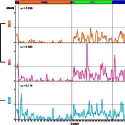 Differences in the selection pattern of the three vertebrate Hh paralogs.