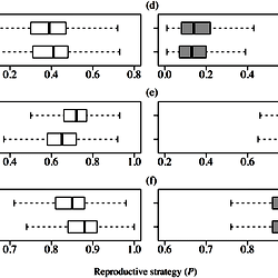 The frequency distributions of reproductive strategies in both the ...