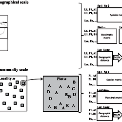 Multiple scales used in the study.