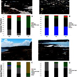 Proportions of different substrate types present at the four study sites.