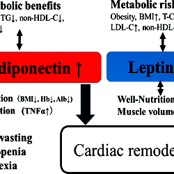 A putative role of leptin and adiponectin in CVD patients receiving ...