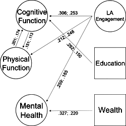 Representation of the significant paths in the SEM model.