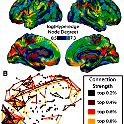 Hyperedge node degree and co-evolution network.
