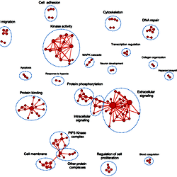 Enrichment map of the proteins associated with differential drug ...