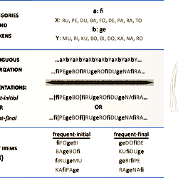 Shared structure of the two artificial languages.