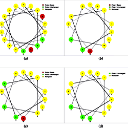 Representation of the helical wheel and net projections of the four ...