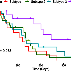 Survival analysis for identified subtypes of GBM.