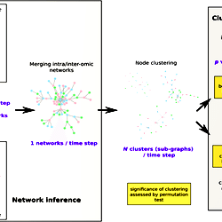 Workflow of the network analysis.