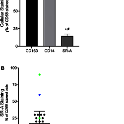 Analysis of CD163, CD14, and SR-A expression compared to CD68 in CHL ...