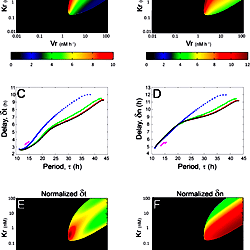 Analysis of the delays when PER translation is achieved by a single ...
