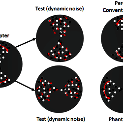 Schematic representation of the stimuli used in the experiments.