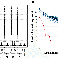 Individual analysis.