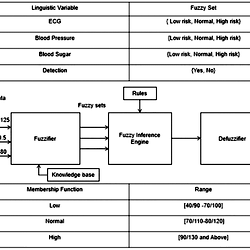 Schematic diagram of the FIS.