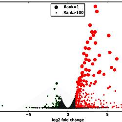 Volcano plot of the fold change of transcripts in TNFα-treated HRMEC ...