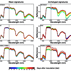 Interpolated mean signatures and archetypal signatures for visible-near ...
