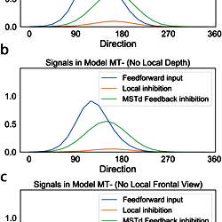 Object motion signals in MT in the (a) Full Stereo, (b) No Local Depth, and (c) No Local Frontal ...