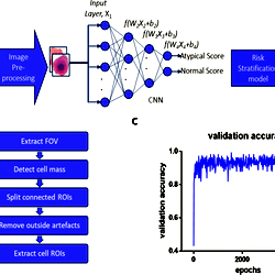 Workflow of image processing and ANN.