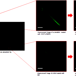 Visualization of the pixel count readout.