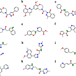 2D structures of compounds.