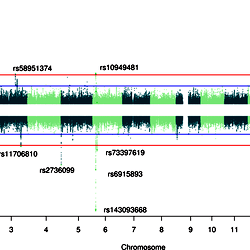 Miami plot for GWAS of Horvath-EAA in the GS and Lu et al. cohorts.