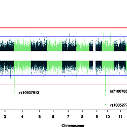 Miami plot for GWAS of Hannum-EAA in the GS and Lu et al. cohorts.