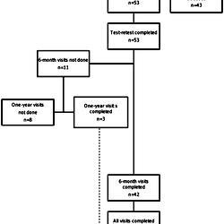 Flow chart of patients included in the clinical protocol.